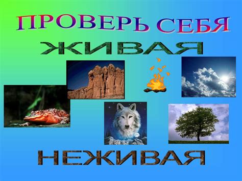 Живая и неживая природа 1 класс Презентации по окружающему миру