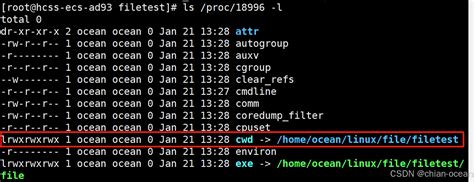 理解 linux 文件结构：一份简单易懂的入门教程 linux是面向文件的吗 csdn博客