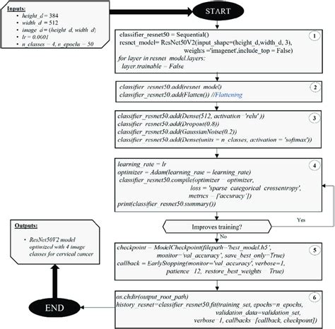 resnet50v2 training steps download scientific diagram