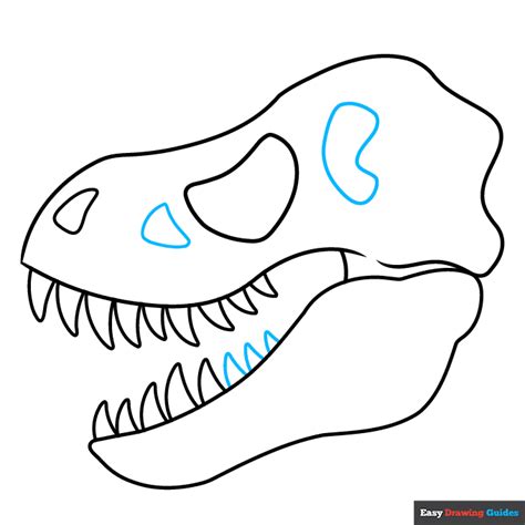 How To Draw Dinosaur Bones Step By Step