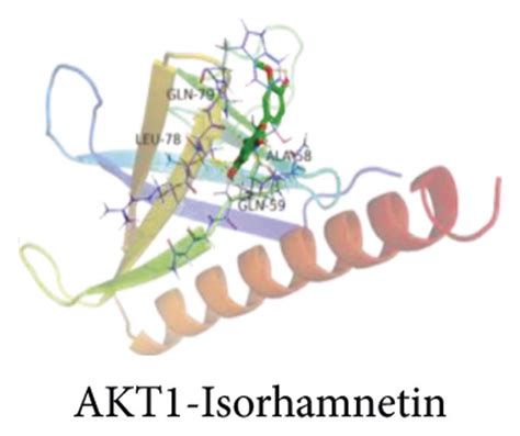 Molecular Docking Structure Diagram A Il 6 Quercetin B Download Scientific Diagram