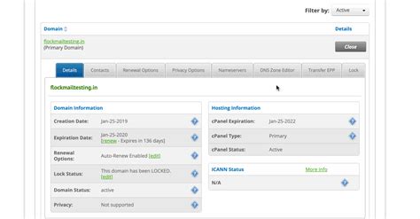 Setup Neo MX And TXT Records For HostPapa Neo Business