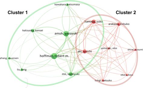 The Coauthorship Analysis Of Authors The Authors Were Divided Into Two Download Scientific