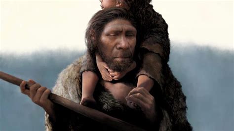 Cold Climate Adaptation Neanderthal Genetics Shape Our Facial Features