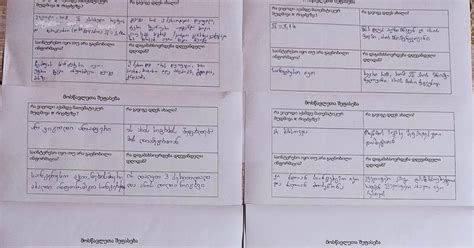 სსიპ თელავის მუნიციპალიტეტის სოფელ რუისპირის საჯარო სკოლა პროექტები