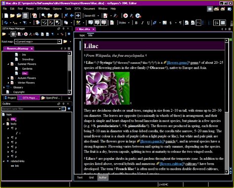 Oxygen Xml Editor 161