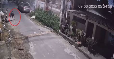 V Deo Idoso Reage A Assalto Na Zona Norte Leva Tiros No Rosto E Fam Lia Procura Assassinos