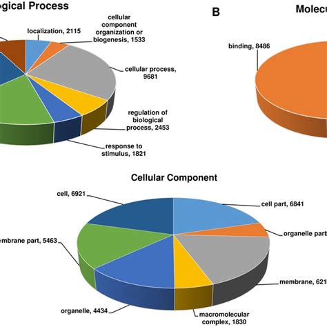 Distribution Of Gene Ontology Annotation Assigned By Blast2go Summary