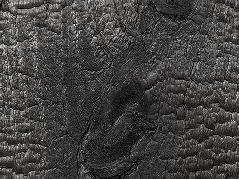 Shou Sugi Ban Cladding Charred Timber Cladding Nationwide Timber