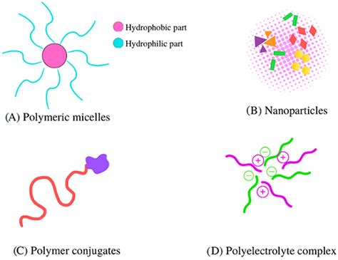 Use Of Chitosan Based Polyelectrolyte Complexes For Its Potential