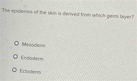 Solved The Epidermis Of The Skin Is Derived From Which Germ Layer Mesoderm Endoderm Ectoderm