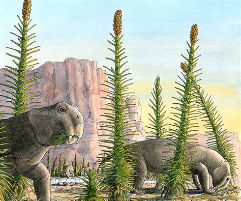 Prehistoric Plants Alive Today