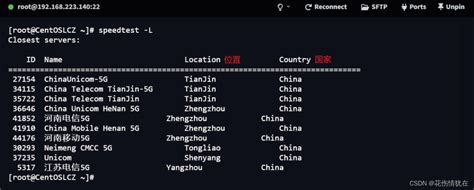 一招教你在linux命令行下测网速 linux 查看网络下载速度 csdn博客