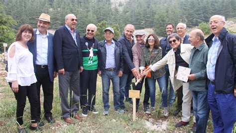 planting a tree for youth in lebanon amideast