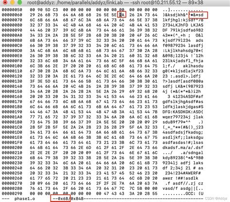 《深入理解计算机系统》实验link Lab深入了解计算机系统实验四link Csdn博客