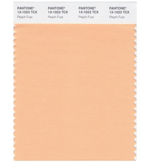 Peach Fuzz подборка одежды в главном цвете 2024 года по версии Pantone