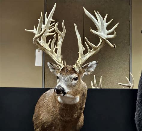 This 49 Point Buck Was Promoted As A New State Record Critics Say It Was Pen Raised Outdoor Life