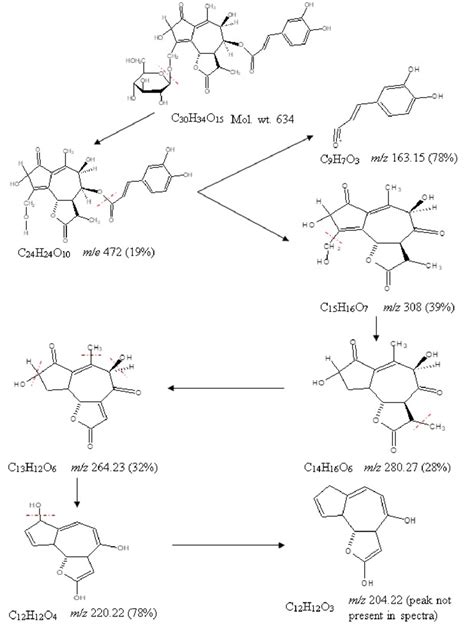 Probable Fragmentation Pattern Of Fraction C Download Scientific Diagram