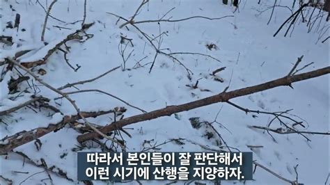 강추위 강풍 및 폭설이 겹칠 때는 부러지는 나무에 맞을 수 있으니 산행을 포기하자 Youtube