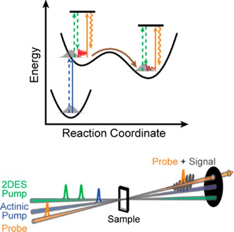 Transient Two Dimensional Electronic Spectroscopy Coherent Dynamics At Arbitrary Times Along