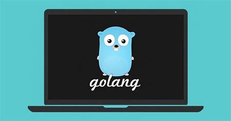The Ultimate Go Golang Programming Tutorial Album On Imgur