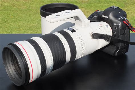 Canon Ef 200 400mm F 4l Is Usm Extender 1 4x Sample Photos Ephotozine