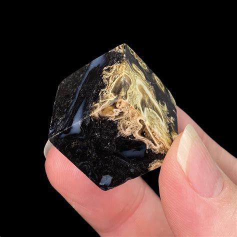 Fossilized Palm Root Cube 2 Cm