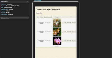 The Aspnet Mvc Club Mvc Ajax Webgrid With Sorting And Paging