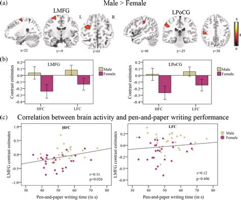 Sex Differences In Brain Activation During Handwriting Brain Regions Download Scientific
