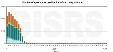 세계보건기구 자취 감춘 독감 바이러스코로나19 영향 세계보건기구 자취 감춘 독감 바이러스코로나19 영향