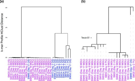 Dendrograms Based On K Mer And Point Mutation Analysis Of S Mitis Download Scientific Diagram