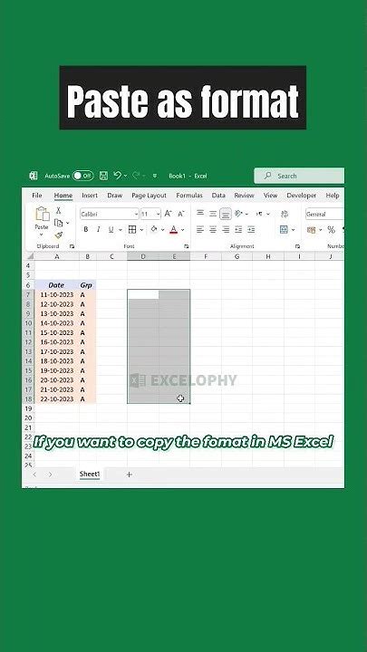Two Alternative Tricks For Format Pasting In Excel Sheet Excelophy Youtube