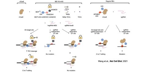 Bioinformatics And Interdisciplinary Technologies BITs Yang Lab