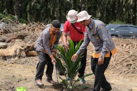 Jalur Kemitraan Percepat Program Peremajaan Sawit Rakyat - Industri ...