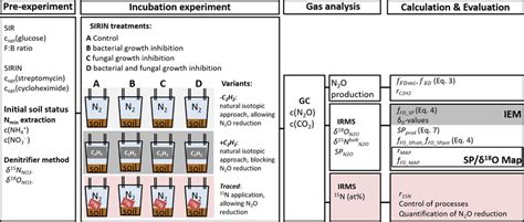 The Methodical Approach Comprised A Pre Experiment With Download
