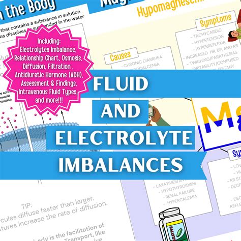 Fluid And Electrolytes Fundamentals Of Nursing At Martha Holt Blog