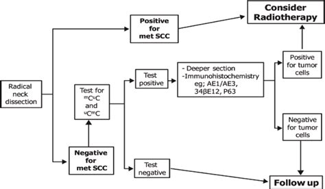 Proposed Algorithm For The Diagnosis And Management Of Radical Neck Download Scientific Diagram