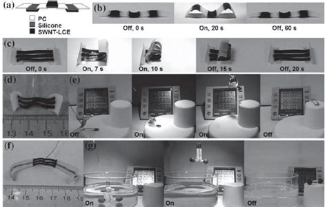 Developed Actuator And Capability Of Actuators Represented Using Nir