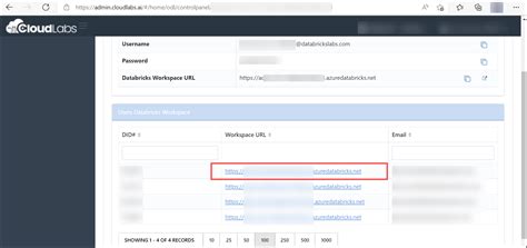 Manage Users Workspace In Case Of Any Issue