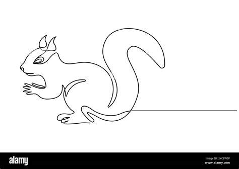 Continuous One Line Drawing Of Chipmunk Squirrel Single Line Art Vector Illustration Squirrel
