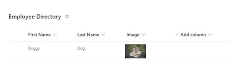 Employee Directory In Sharepoint Online Tims Blog