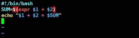 The Solution To The Problem That There Is No Such File Or Directory When Executing In Shell
