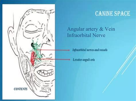 Primary Spaces Infection Ppt