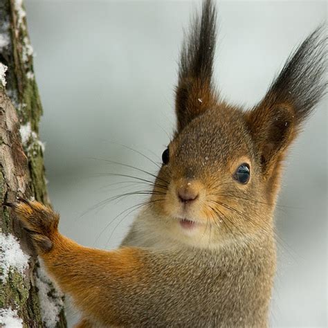 Lorentz Invariant Youtube