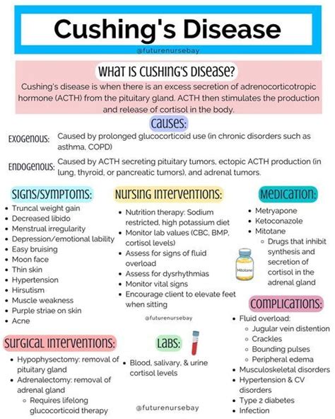 Cranial Nerves Mnemonic Function Labeled Names In Order Definition Artofit