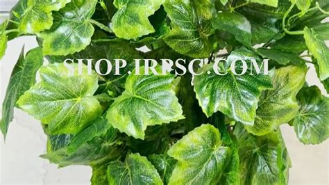 خرید انواع بوته مصنوعی پر تراکم پخش از فروشگاه ملی نماشا