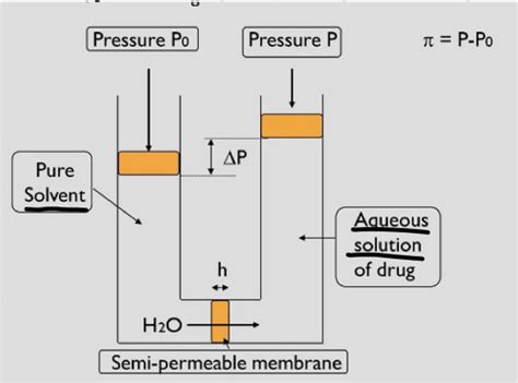 Osmotic Drug Delivery Flashcards Quizlet
