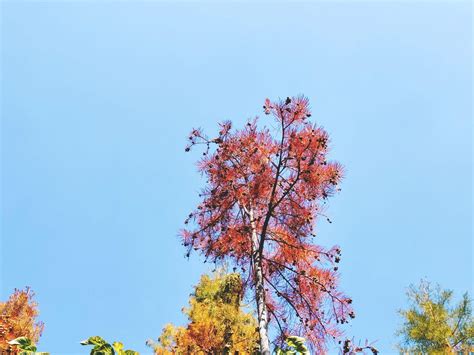 阅读笔记：系统能力的核心指标 效率 知乎