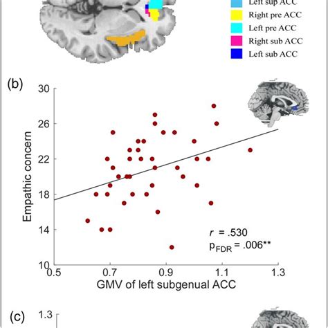 Correlations Between Gmv Of Empathy‐related Rois And Years With Dance