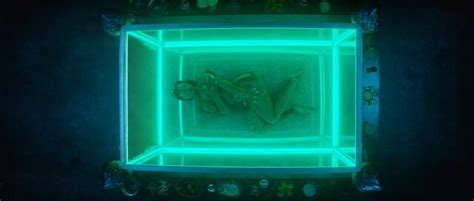 Nude Video Celebs Megan Thee Stallion Nude Cobra